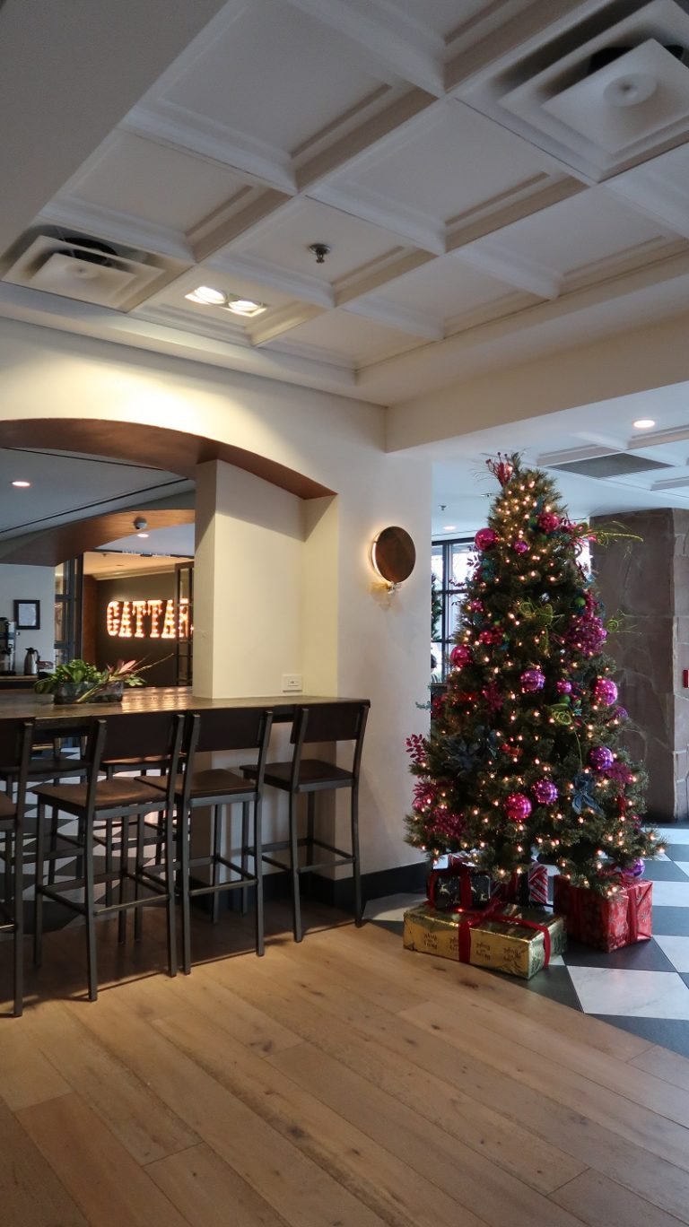 Gattara Restaurant and Bar - Denver - Be Meatless